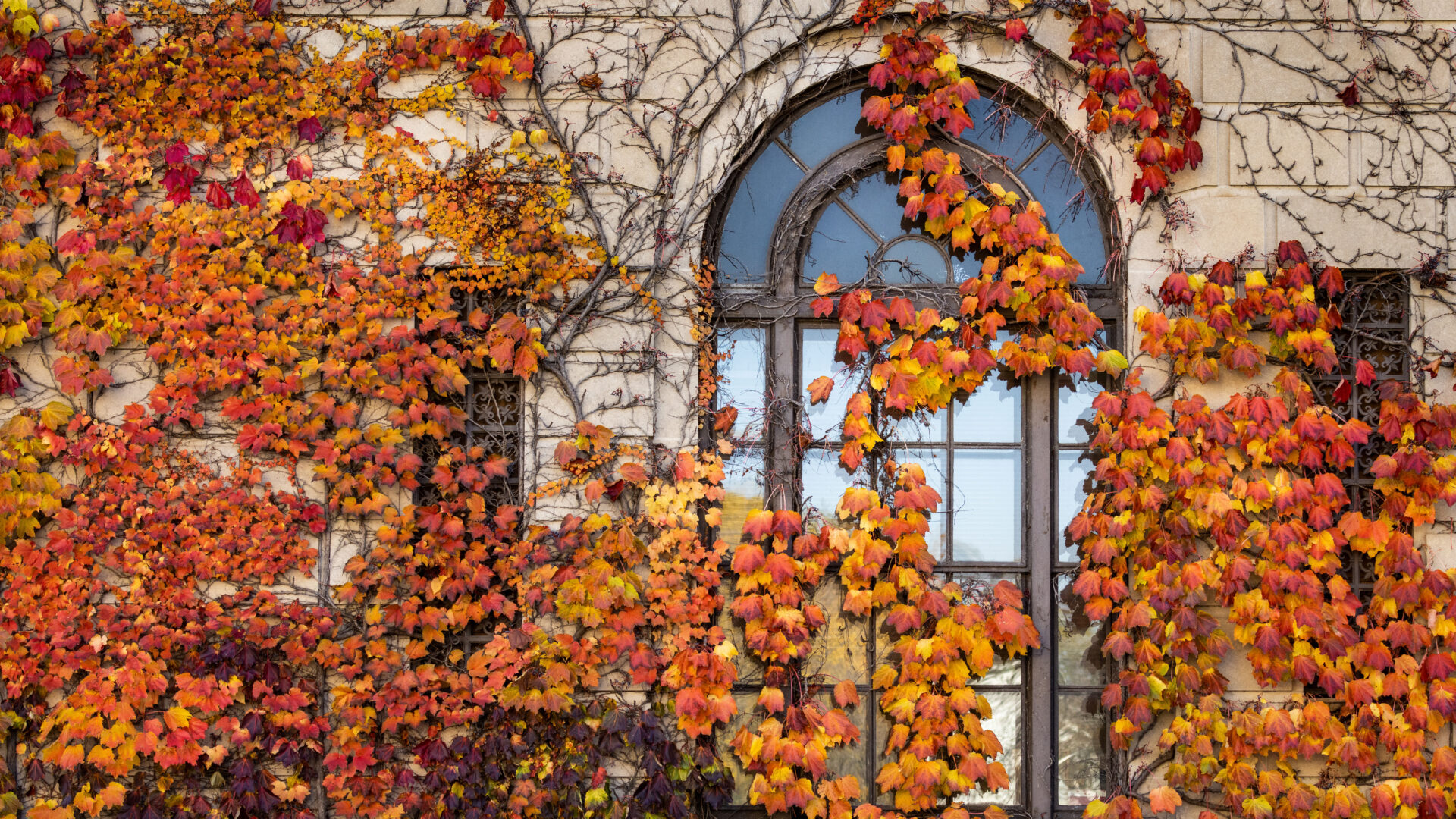 Scholarship Acceptance and Renewal | Oshkosh Area Community Foundation